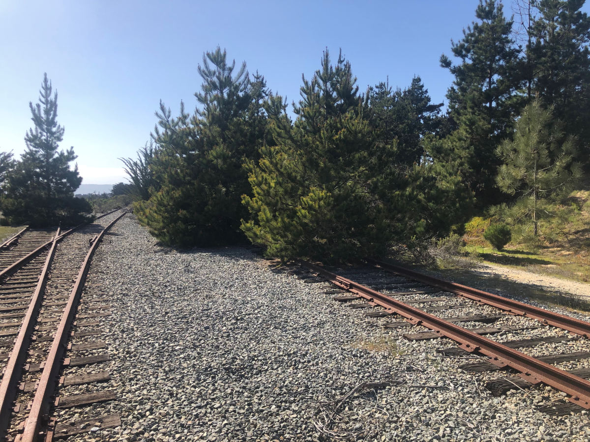 Monterey Branch Line Here We Come! – Monterey Bay Rail Bikes