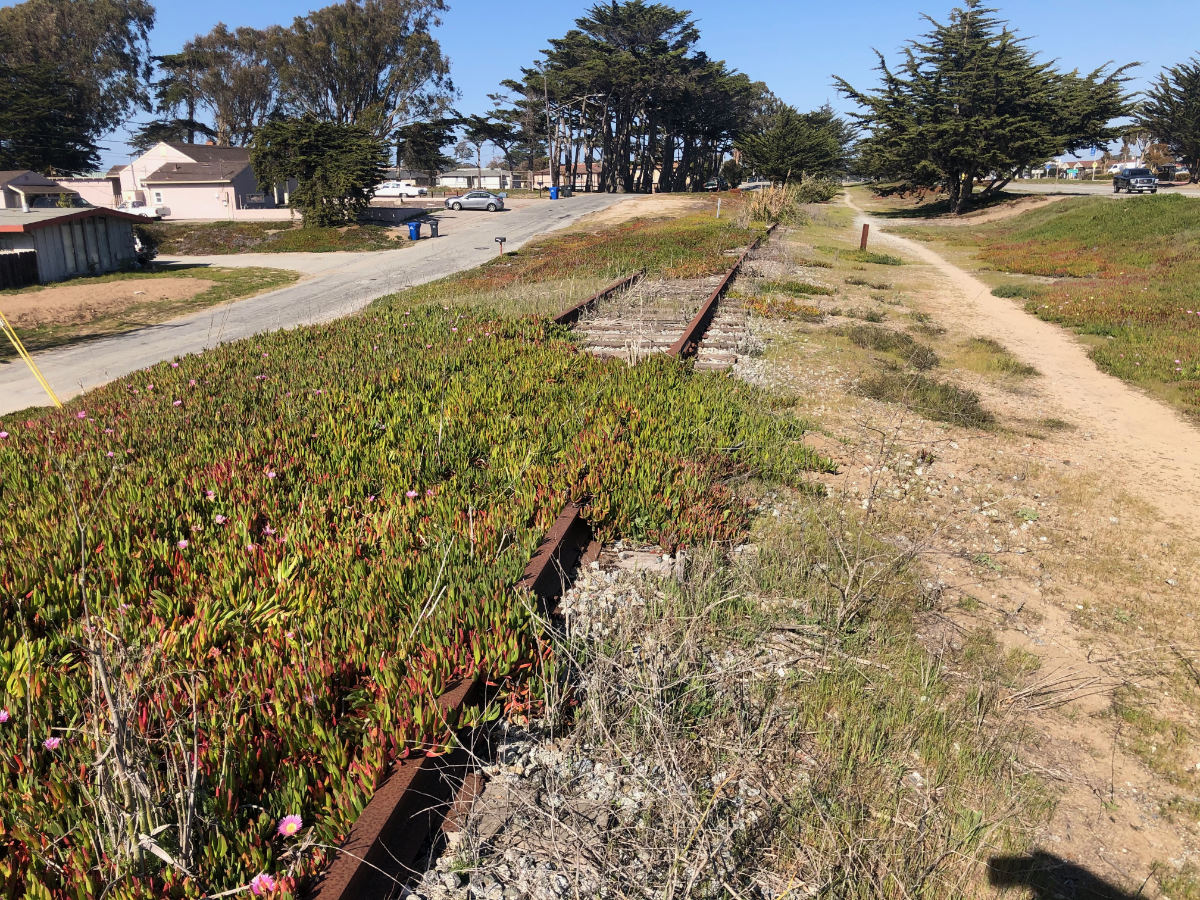 Monterey Branch Line Here We Come! – Monterey Bay Rail Bikes