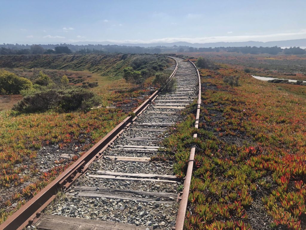Monterey Branch Line Here We Come! – Monterey Bay Rail Bikes