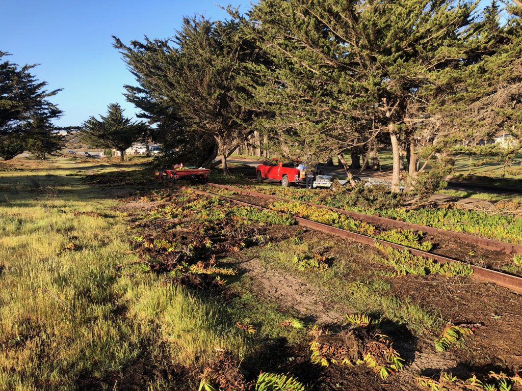 Monterey Branch Line Returns to Servce – Monterey Bay Rail Bikes