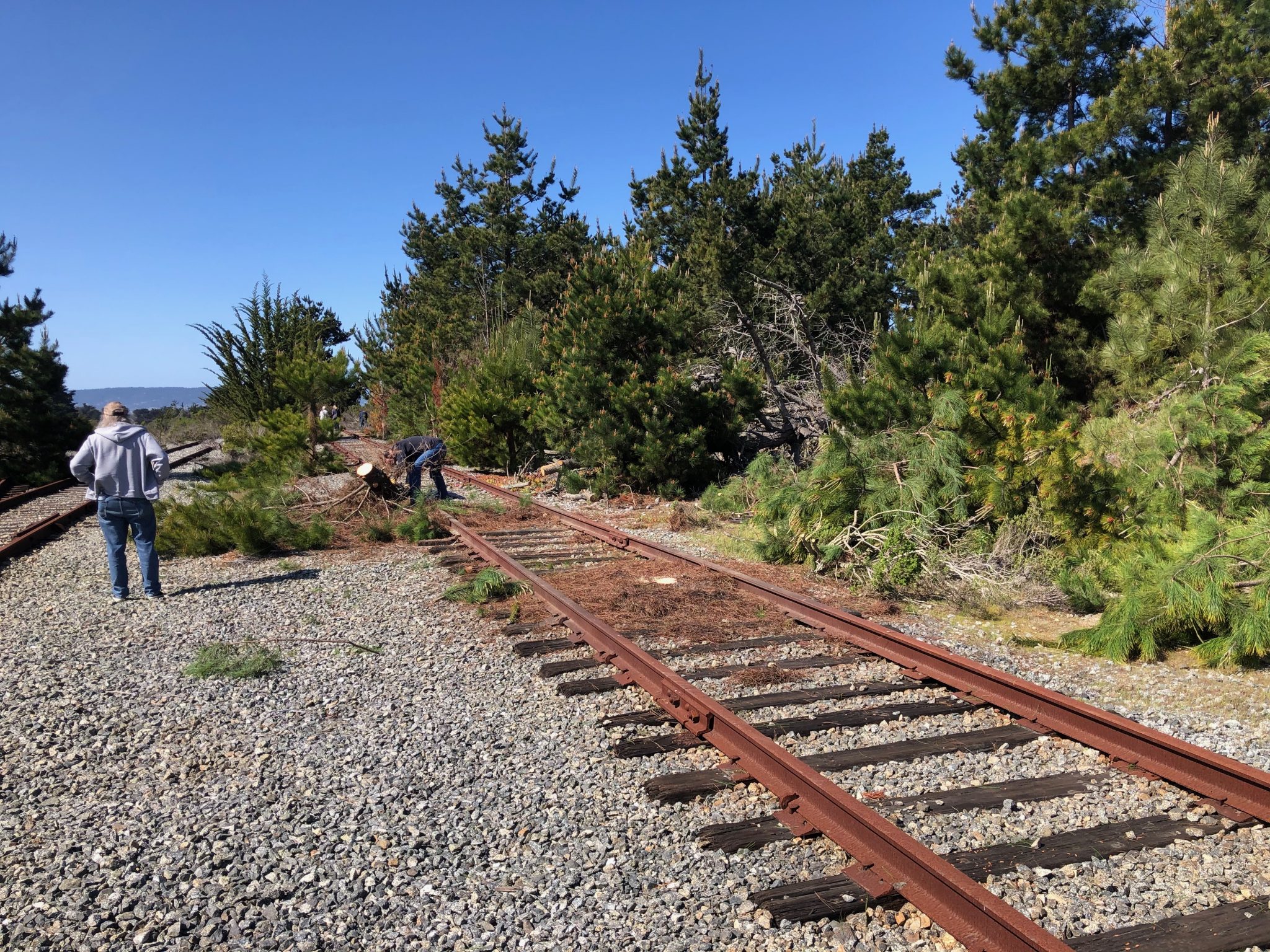 Monterey Branch Line Returns to Servce – Monterey Bay Rail Bikes