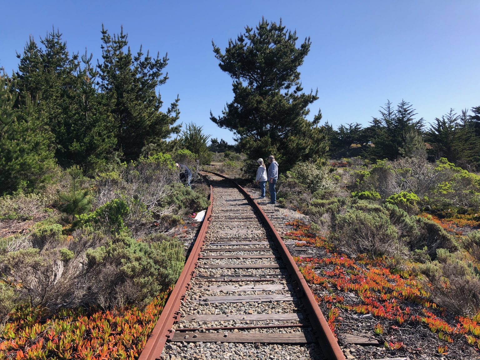 Monterey Branch Line Returns to Servce – Monterey Bay Rail Bikes