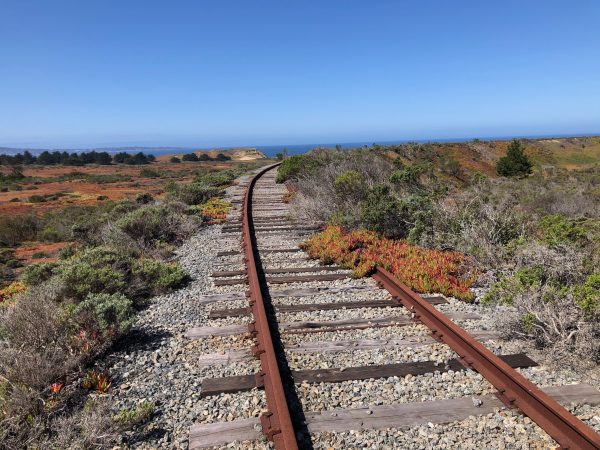 Monterey Branch Line Returns to Servce – Monterey Bay Rail Bikes
